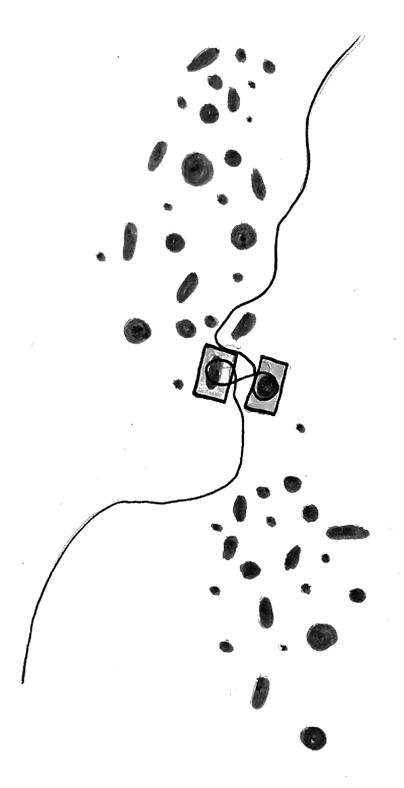 Past and Present Paths – Bergen Arkitekthøgskole