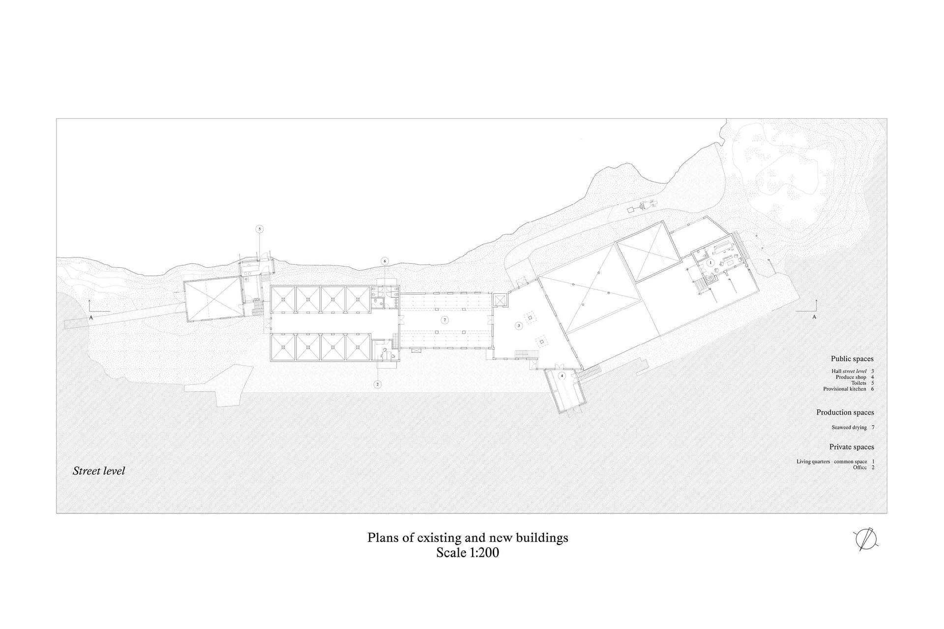 Entangled - Bergen School of Architecture